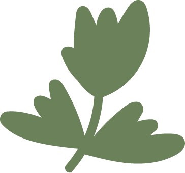 cantine – clean, green cantine