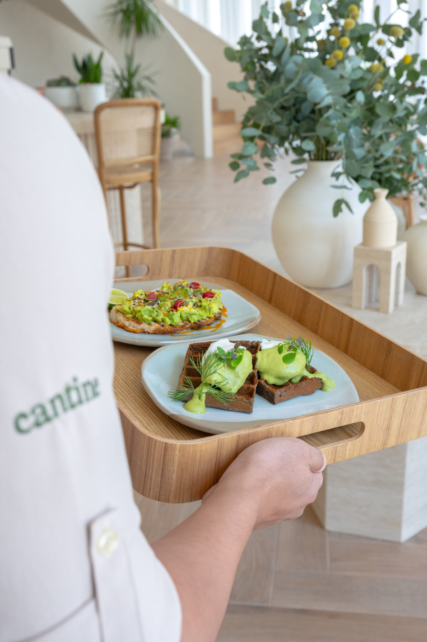 cantine – clean, green cantine